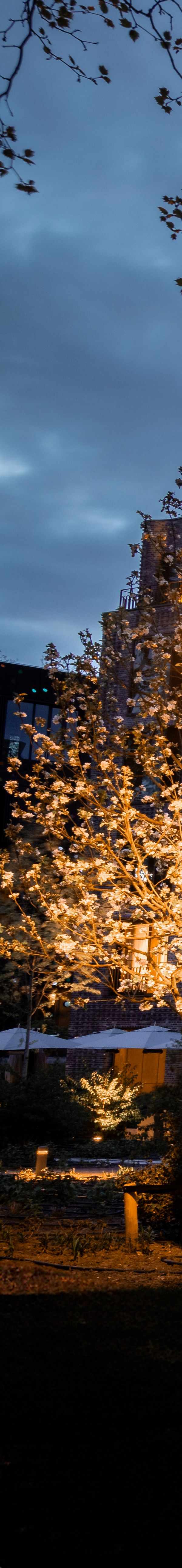 Pillows Grand Boutique Hotel Maurits At The Park - Amsterdam