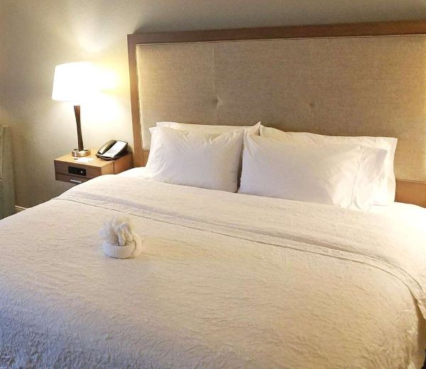 Hampton Inn By Hilton Philadelphia International Airport - Upper Darby