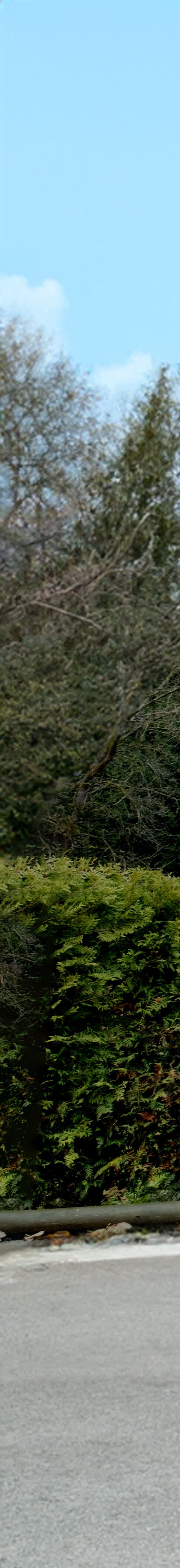 Hotel Winterberg Resort - 빈터베르크