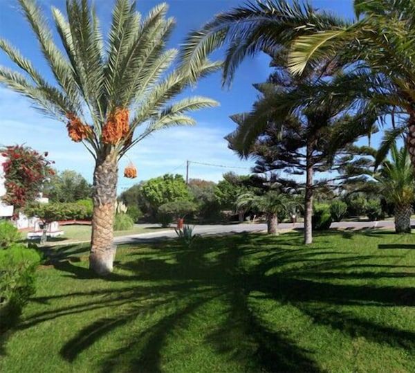 Sandy's Studios Apartments & Log Villas - Kos