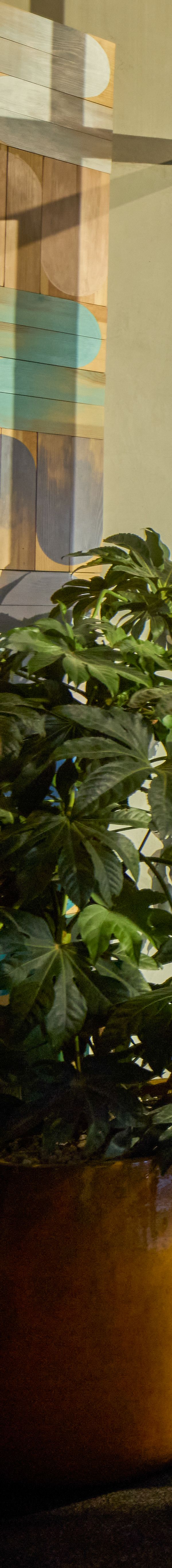 The July - Boat & Co - Amsterdam