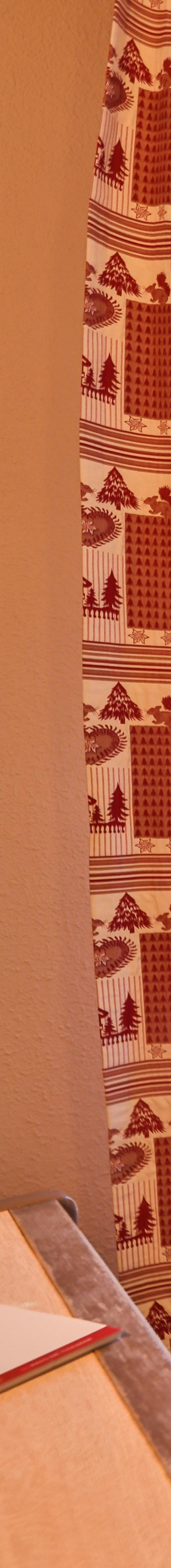 Panorama - Munster, France