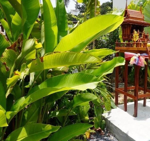 Treeya Lanta - Ko Lanta District