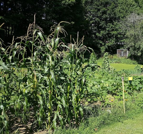 The Farmstand Bed & Breakfast - New Hampshire (State)