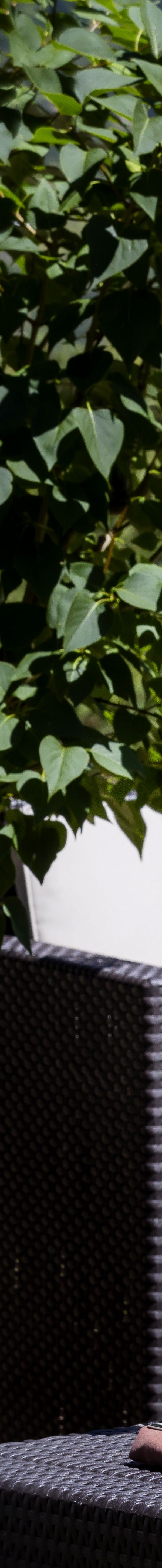 Eden Lac Logis - Lac de Serre-Ponçon