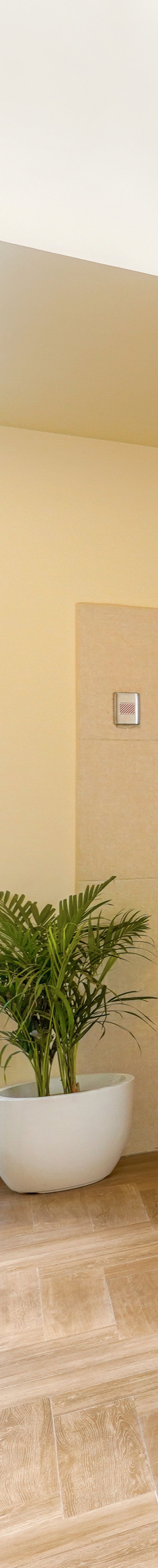 Bloom Hotel - Katra - Katra