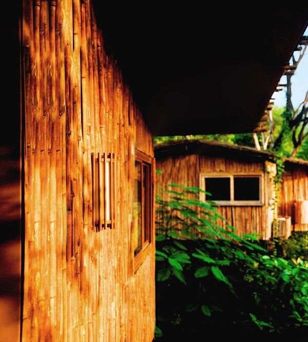 The Tree House Resort - Jaipur