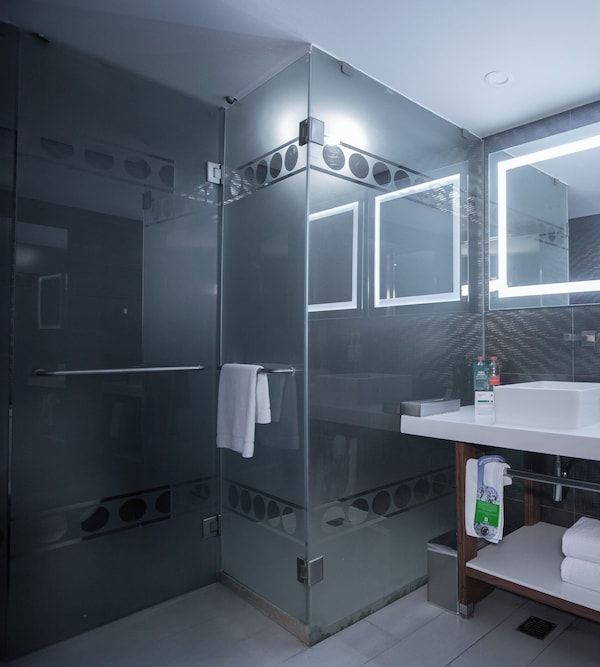 Holiday Inn Mexico Zona Centro - Mexico State