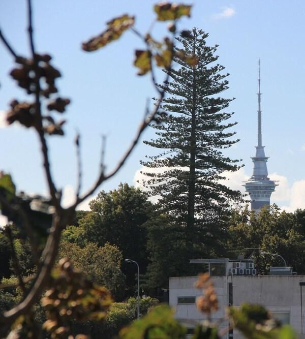 City Towers - Auckland