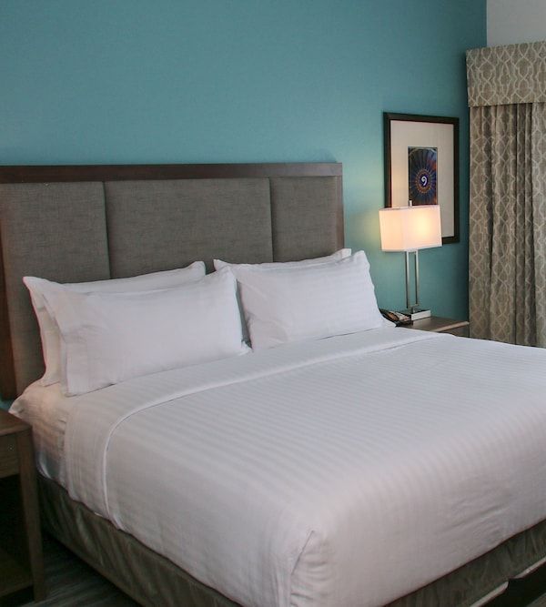 Holiday Inn & Suites Denver Tech Center-centennial - Aurora, CO