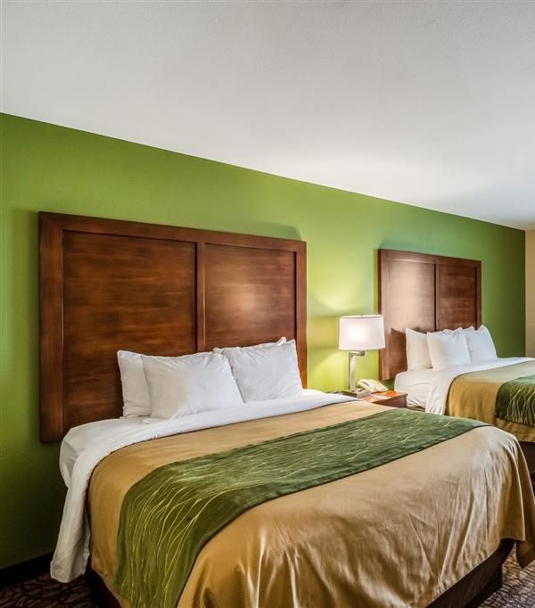 Comfort Inn & Suites Panama City North - Panama City, FL