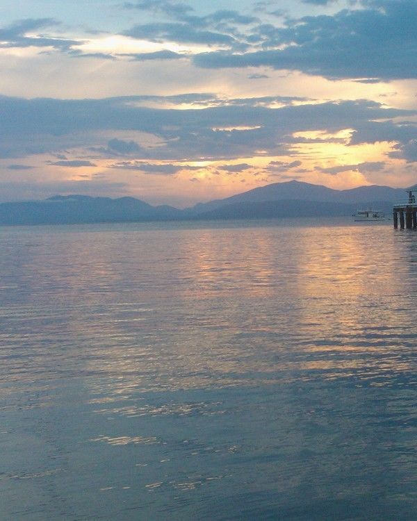 Tropical Palms Inn And 4wd Hire - Townsville