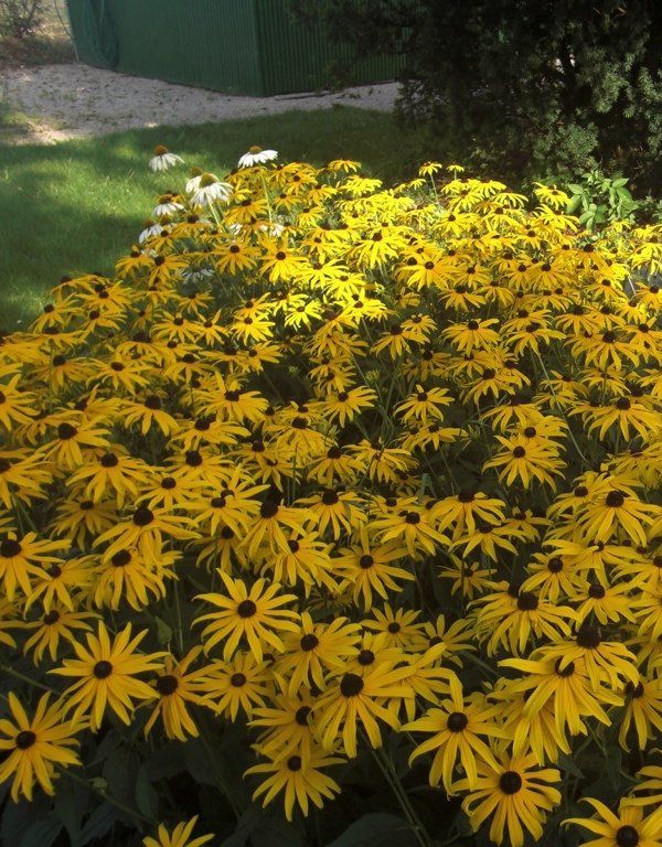 Sonnenhof Im Grünen - Lago Atter