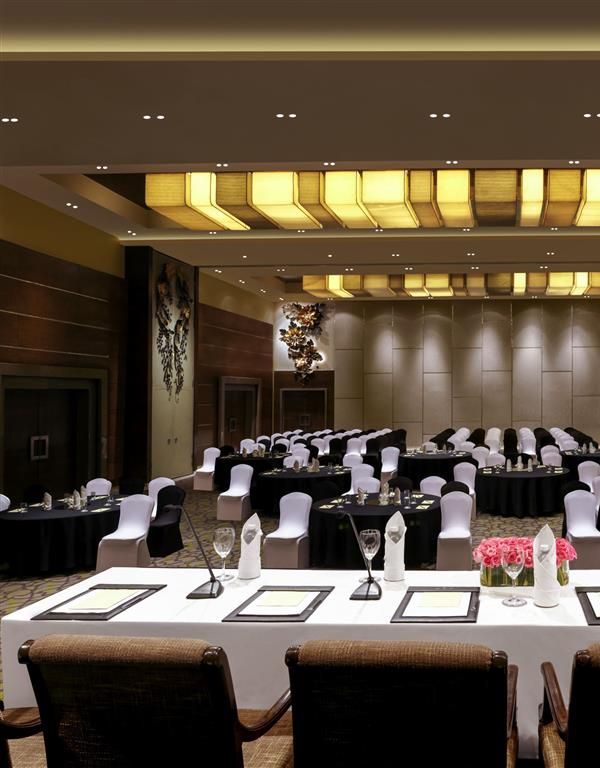 Grand Mercure Vadodara Surya Palace - Vadodara