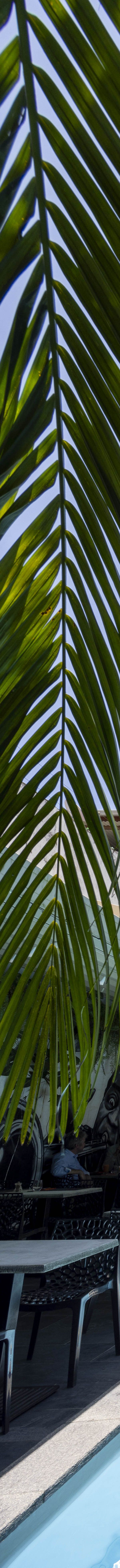 Ker Alberte - Guyane française