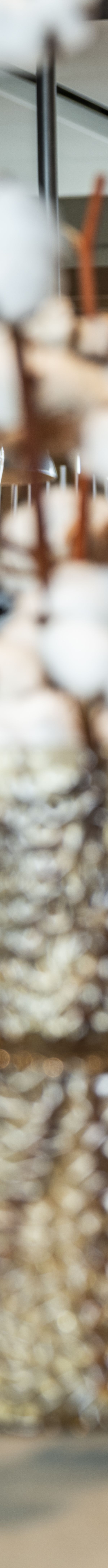 Zleep Hotel Frankfurt Airport Kelsterbach - Kelsterbach