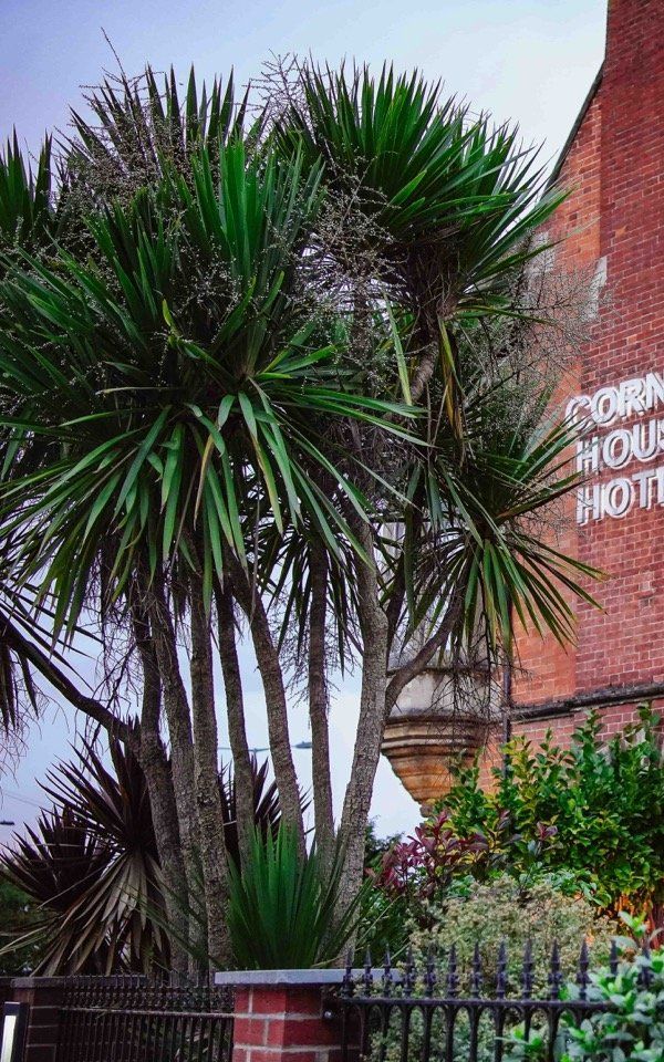 Corner House Hotel - Taunton