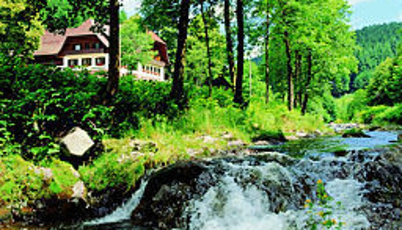 Bad Rippoldsau Schapbach Hotel